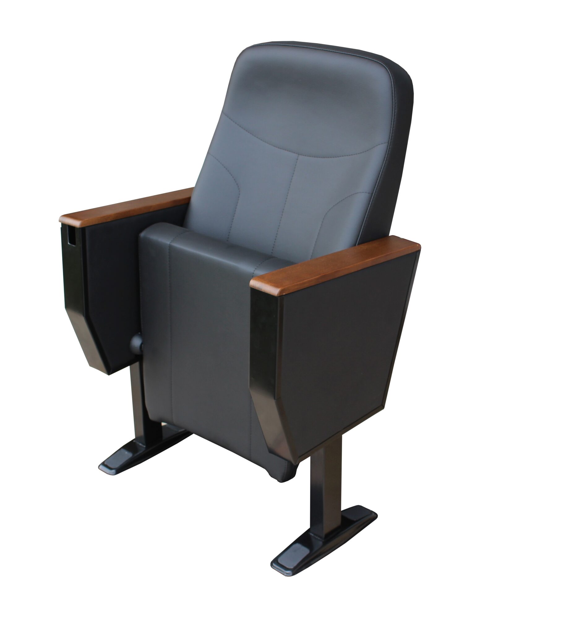 PICASA® Series Y80 Model | Manufacturer of Auditorium & Lecture Hall ...