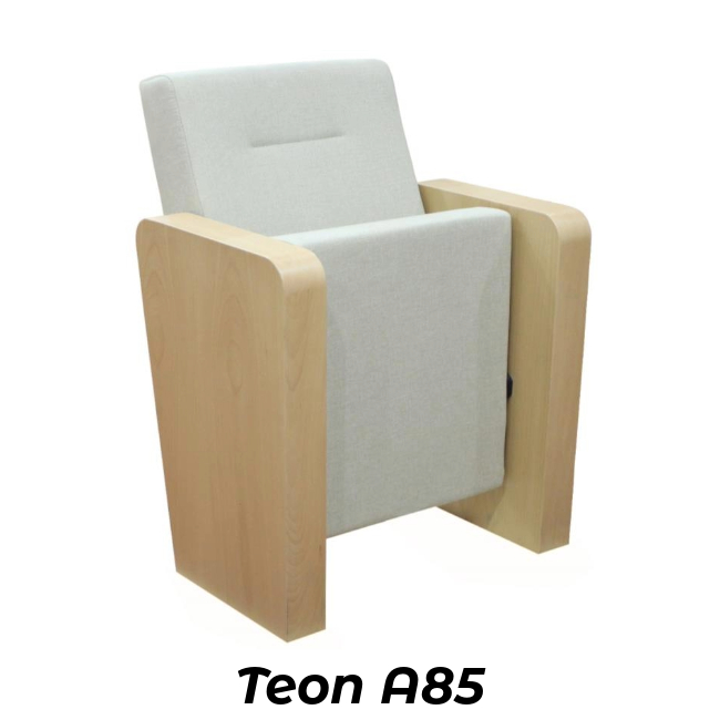 VIP Auditorium Seats - Seatorium™